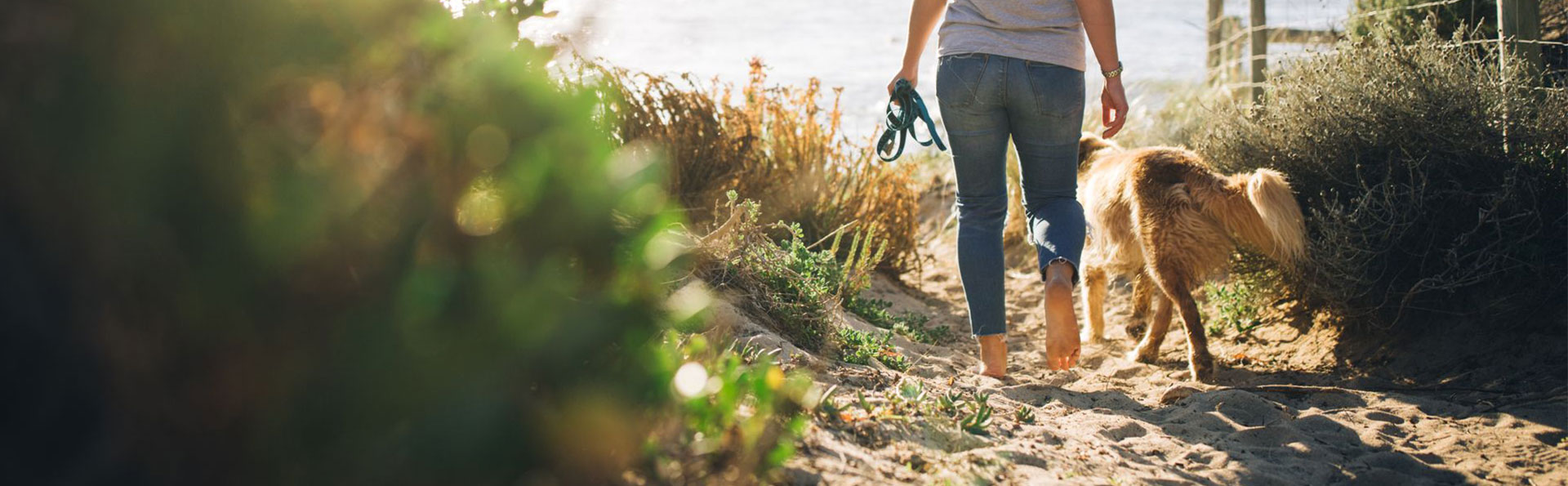 Dog Exercise Areas | Shire of Augusta Margaret River